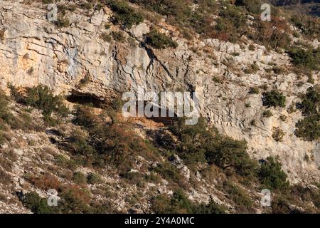 Caves of the post-Paleolithic rock art site of La Sarga, Alcoy, Spain ...