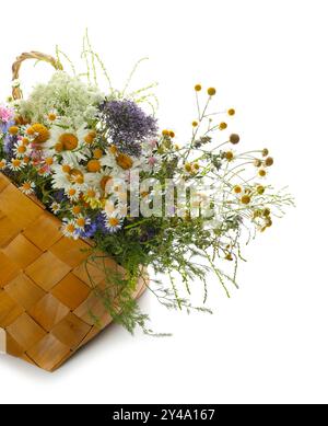 Beautiful chamomile flowers in bag indoors, closeup Stock Photo - Alamy