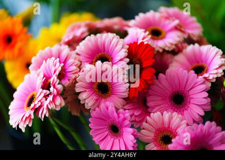 The Flower House, Marple Stock Photo - Alamy