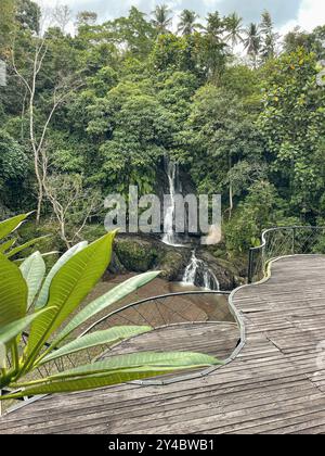 Layana waterfall - hidden gem in Ubud at sunny day. Gianyar, Bali ...