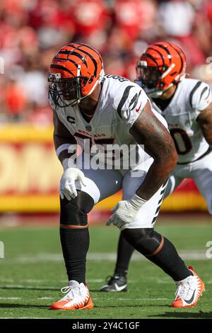 Cincinnati Bengals' Orlando Brown Jr. blocks against the Pittsburgh ...
