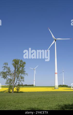 Wind turbines and a lone tree in rural Germany Stock Photo - Alamy