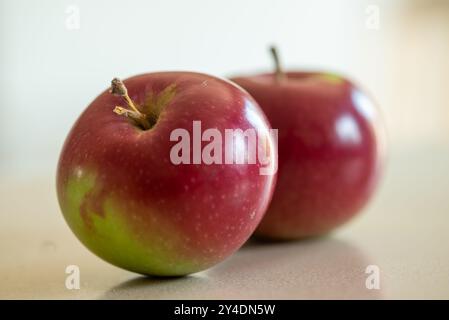 Two ripe organic, juicy, aromatic apples in a wicker basket of vines ...
