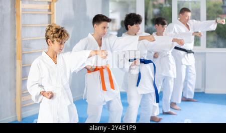 Teenage boy with group of karate practitioners performing kata routines ...