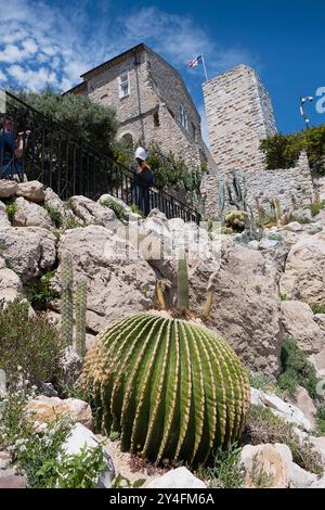 The Garden Of The Picasso Museum Antibes Provence France Stock Photo ...