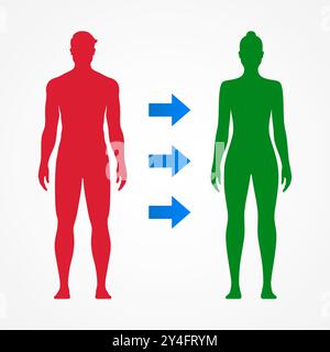 Gender transition from man to woman, concept vector illustration. The ...