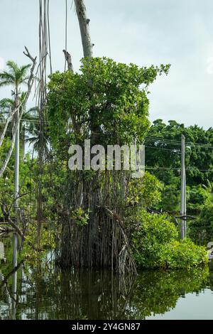 Maimon Bay, Puerto Plata Province, Dominican Republic Stock Photo - Alamy