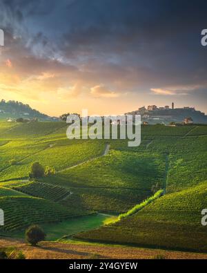 Vineyard on the hills of Barolo, Piedmont - Italy Stock Photo - Alamy