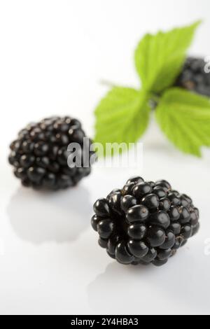 Black blackberries, clipping, fruit, fruits, studio Stock Photo - Alamy