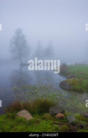 Plateau des Grilloux, Thousand Ponds Plateau (Plateau des Mille etangs ...