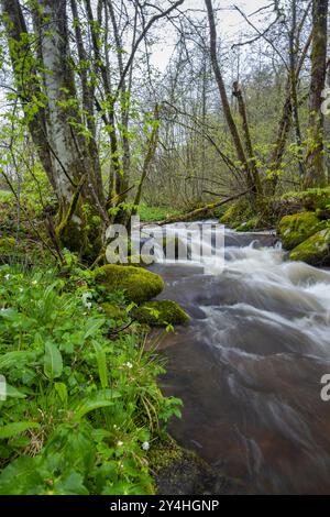 Plateau des Grilloux, Thousand Ponds Plateau (Plateau des Mille etangs ...