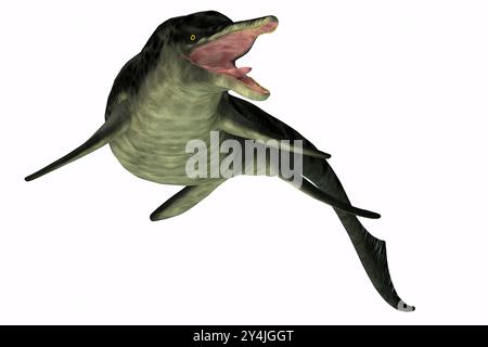 Cymbospondylus was an early carnivorous Ichthyosaur that lived in the ...