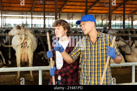Farmer instructs young helper what to do on cow farm Stock Photo - Alamy