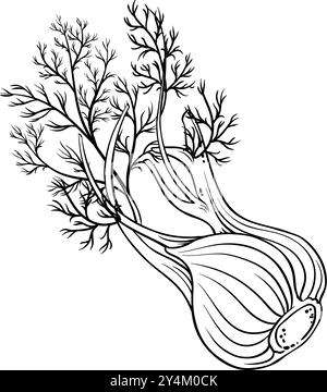 Fennel Vegetable Isolated Outline Illustration Stock Vector Image & Art ...