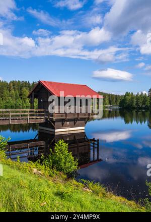 A small lake in a spruce forest, surrounded along the shore by trunks ...