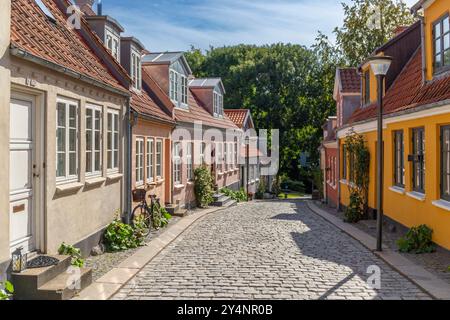 Vibrant Odense: Capturing the charm of colorful Scandinavian ...