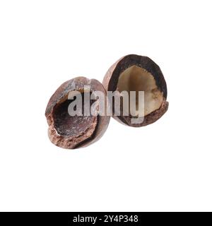 Part of macadamia nut shell isolated on white Stock Photo - Alamy