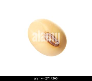 One raw soy bean isolated on white Stock Photo - Alamy