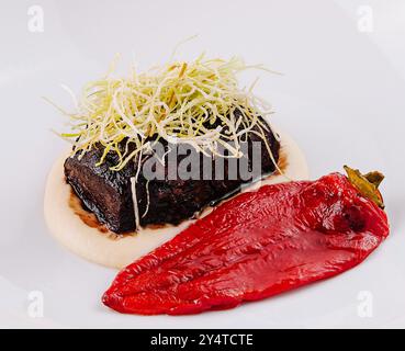 Elegant dish of tender braised beef on a smear of puree with a vibrant ...