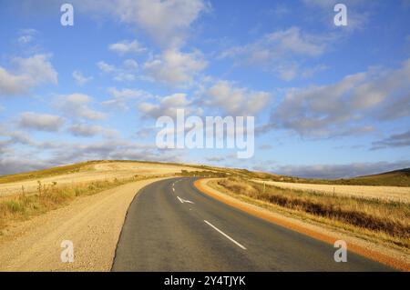 Urban tar road in between wheat fields in South Africa Stock Photo - Alamy
