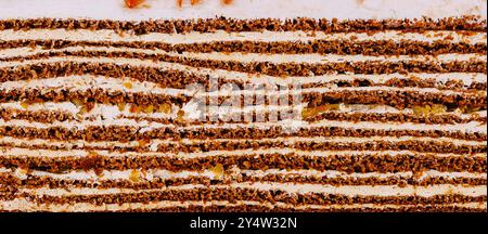Food, Showing the mouthwatering inside of a multilayered cake with rich ...