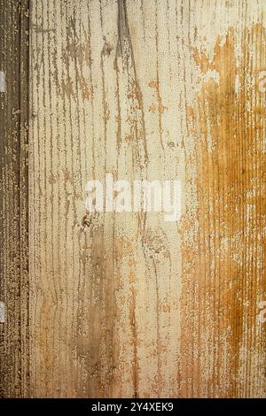 wooden background, wooden white varnished background, cracked white ...