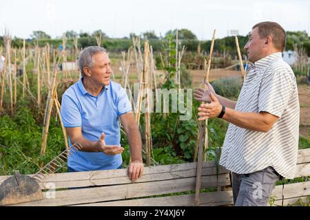 Male neighbors having conversation outdoors, shaking hands Stock Photo ...