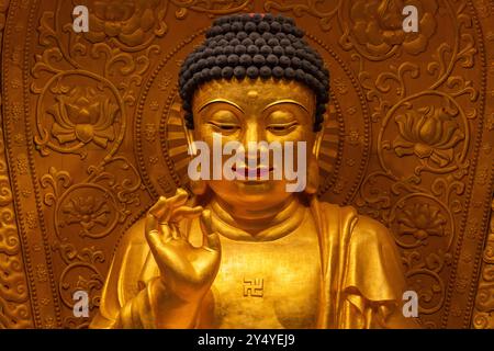 Close up portrait of DharmaChakra Buddha in black curly hair, or "snail ...