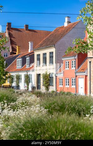Capture the vibrant charm of Odense, Denmark! Stunning photos of ...