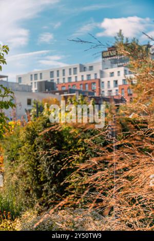 Capture the vibrant charm of Odense, Denmark! Stunning photos of ...