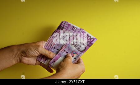 A hand holding several Philippine peso bills of various denominations ...