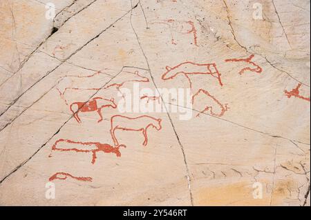 samples of the rock carvings inside the World Heritage Rock Art Centre ...