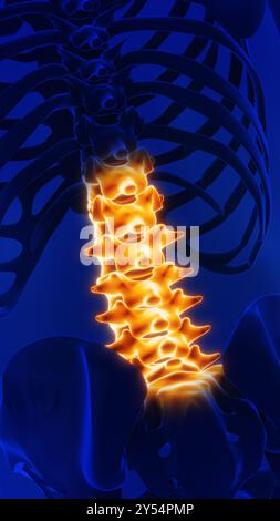 Human Lifting heavy object resulting Lower back Pain Stock Photo - Alamy