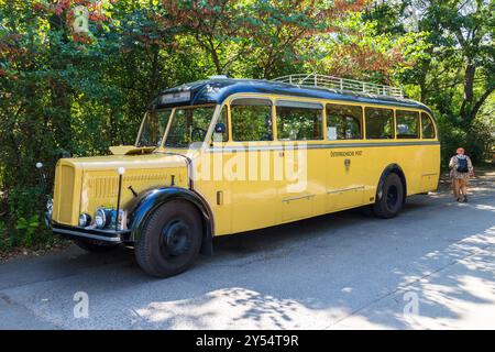 Graf & Stift 120-ON post bus 1949 at Vienna Classic Days 2024, oldtimer ...