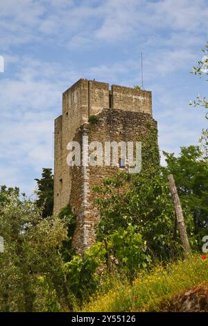 Barbischio castle overlooking the town of Gaiole in Chianti, the ...