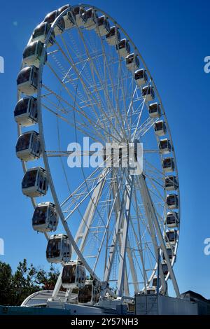 The SkyStar Ferris Wheel at Fisherman’s Wharf with The Ferry Arch and ...