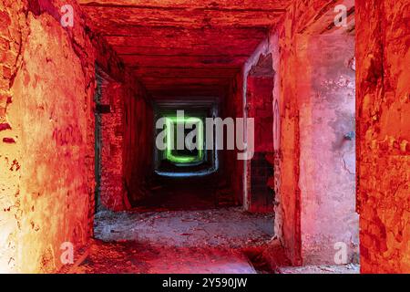 Long dark cellar corridor Stock Photo - Alamy