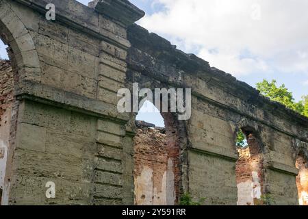 abandoned ruins of an ancient building among the grass Stock Photo - Alamy