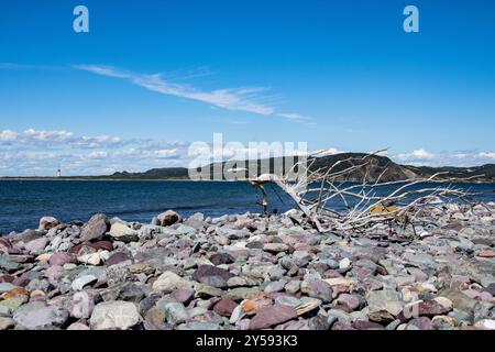 Rocky beach at Point Verde Lighthouse in Placentia, Newfoundland ...