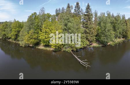 Lake in the forest Lake Elbinger in the Selke valley on the Selke ...