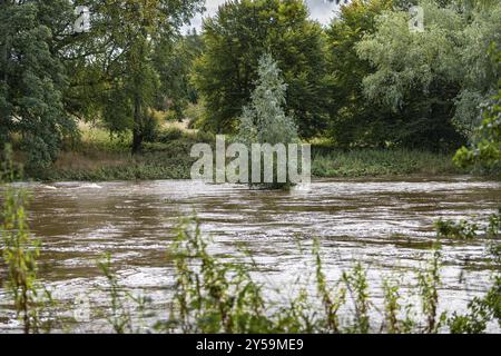 Teviot River in Flood after heavy rain Stock Photo - Alamy