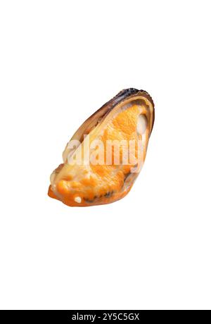 Top view of single green mussel meat is isolated on white background ...