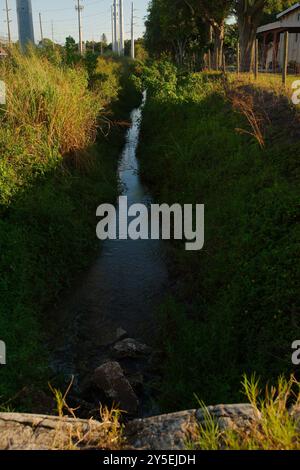 Concrete Drainage Ditch with Grass Stock Photo - Alamy