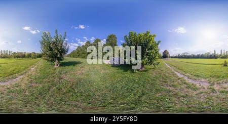 360° view of 360 photo VR of some mulberry trees in the country in ...