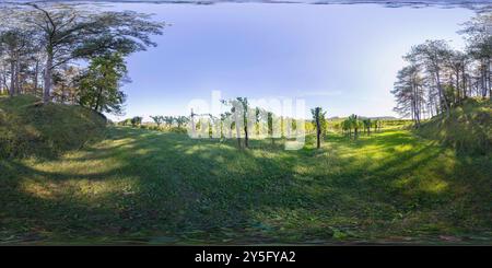 360° view of 360 VR photo. view of the rows of a vineyard in the ...