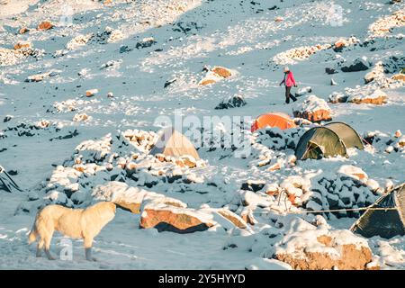 Bethlemi hut base camp with colorful tents and stray dog in snow ...
