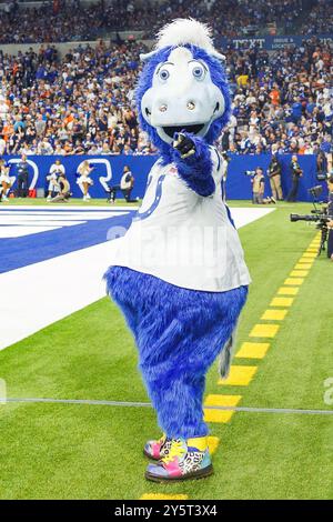 Blue, the mascot of the Indianapolis Colts, performs before an NFL ...