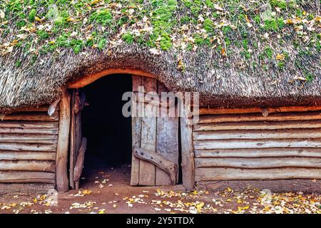 Open door to a longhouse with thatched roof Stock Photo - Alamy