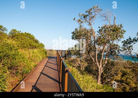 pathway to Cave Beach, NSW, Australia Stock Photo - Alamy