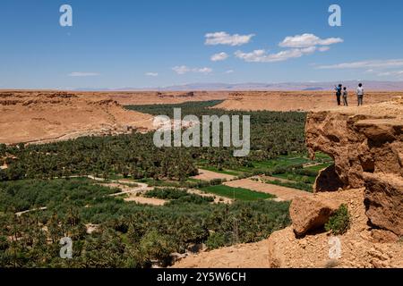 Tafilalet palm grove, Ziz river valley, Morocco, Africa Stock Photo - Alamy